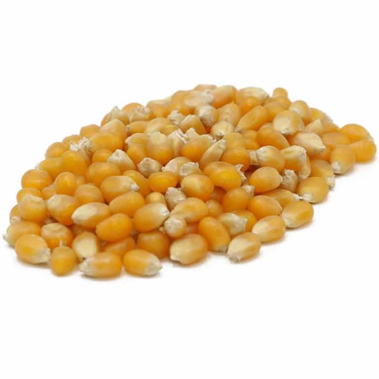Bulk Popcorn | Food Products Supplier | Pacific Valley Foods